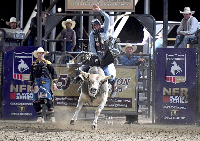 Gray wins Gooding Pro Rodeo – TwisTed Rodeo